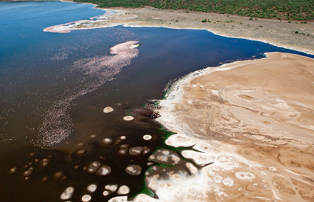 Lake_Bogoria_National_Reserve_021.jpg