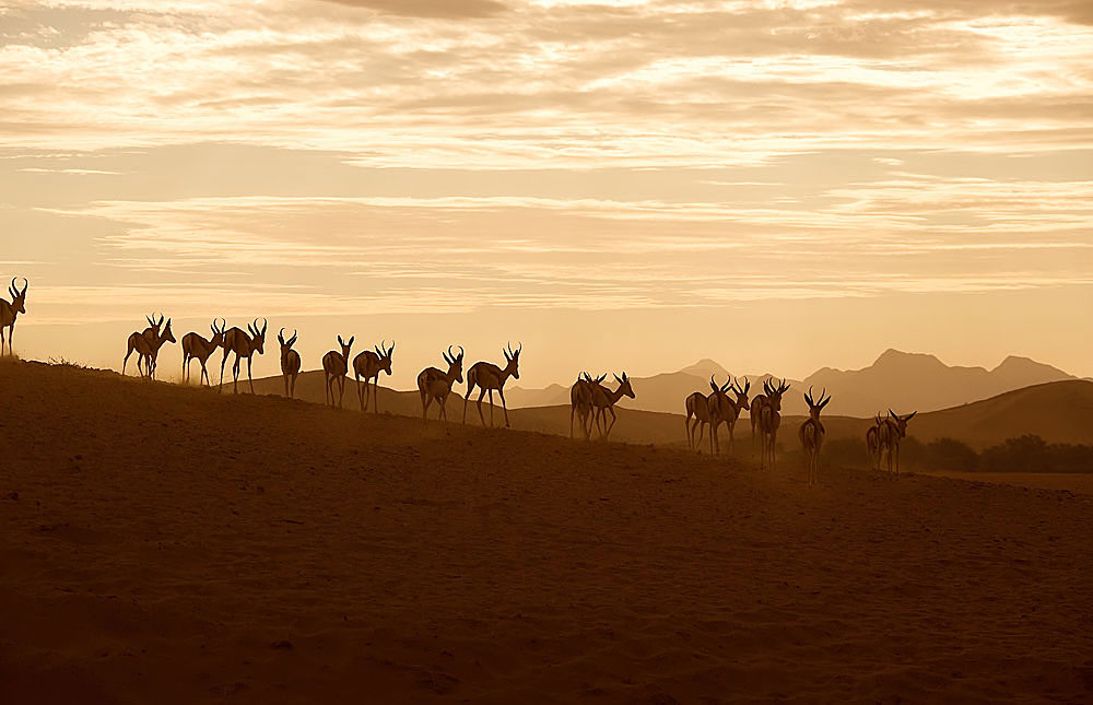 Damaraland Photos – Images & pictures