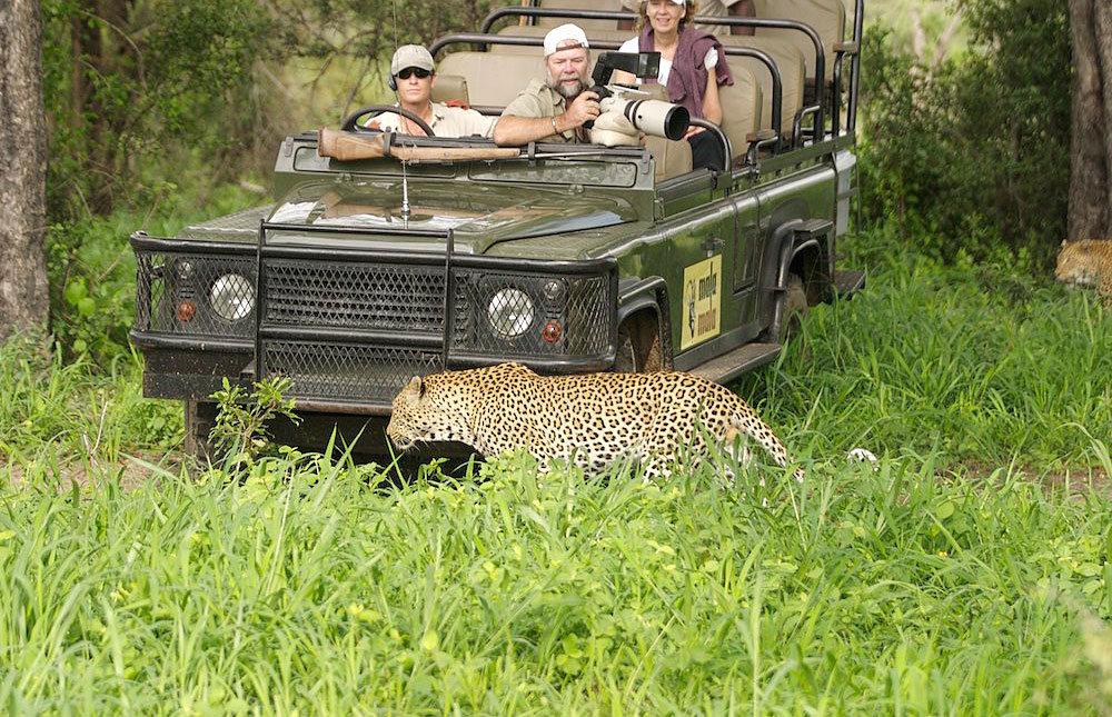 Mala Mala Game Reserve – Travel guide, Map & More!