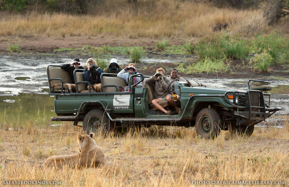 Phinda Game Reserve – Travel guide, Map & More!