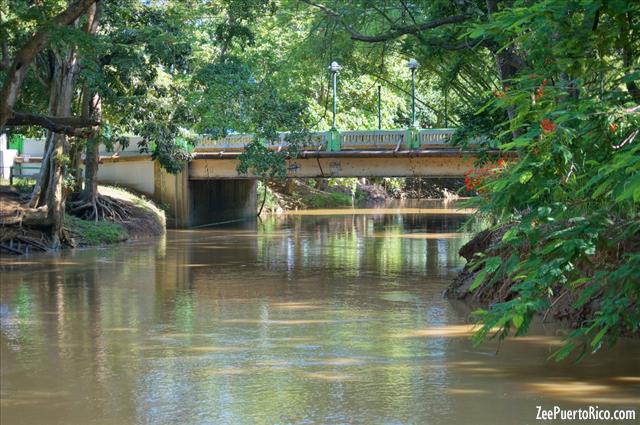 Paseo Río Camuy - ZeePuertoRico.com