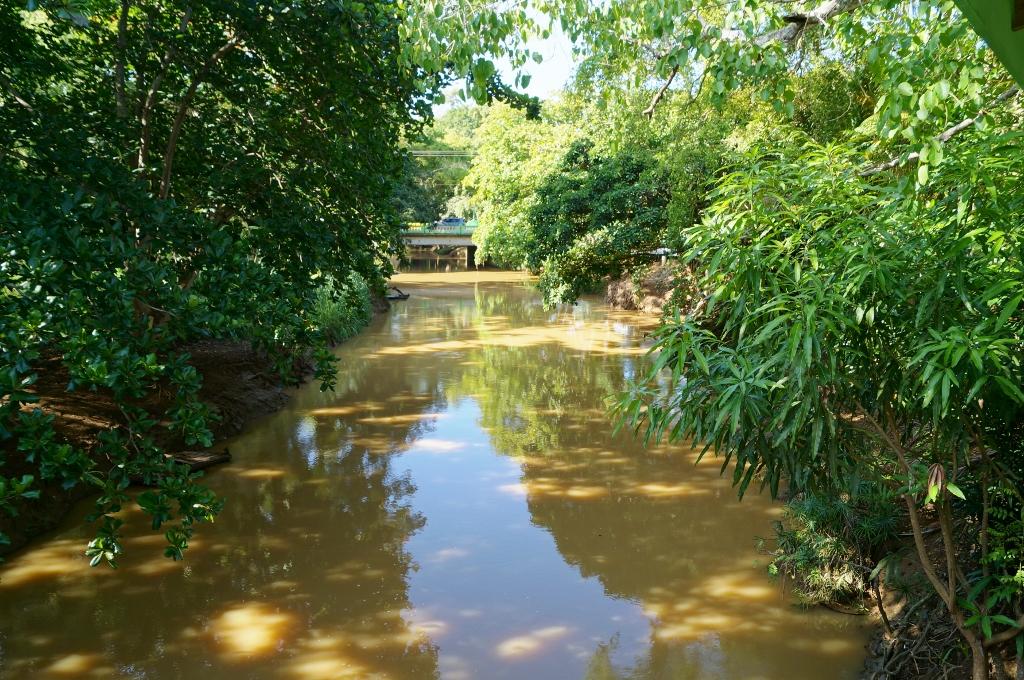 Paseo Río Camuy - ZeePuertoRico.com