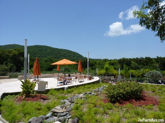 Coamo, Puerto Rico - Alchetron, The Free Social Encyclopedia