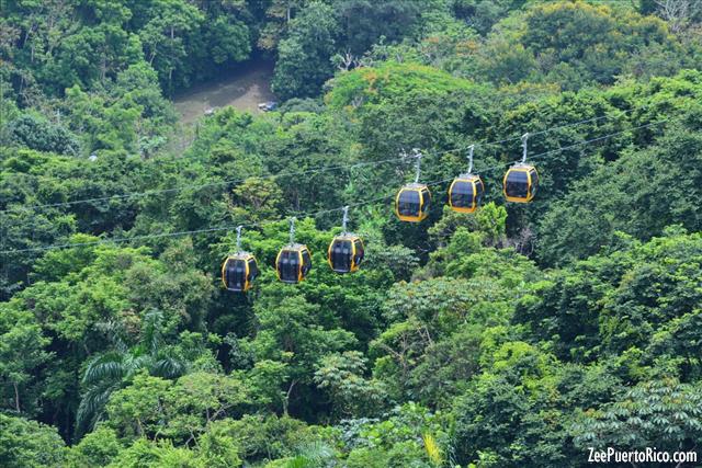 Zeepuertoricocom La Marquesa Forest Park