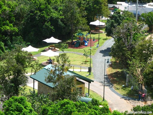 Zeepuertoricocom La Marquesa Forest Park