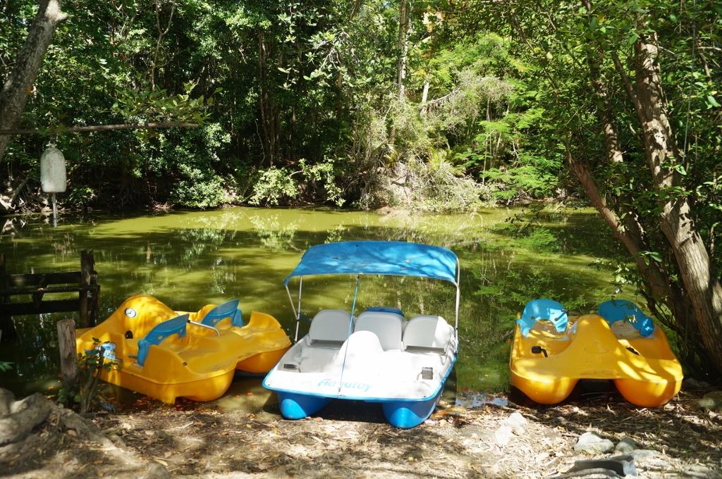 Reserva Natural de Humacao - ZeePuertoRico.com