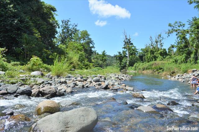 Ríos De Puerto Rico