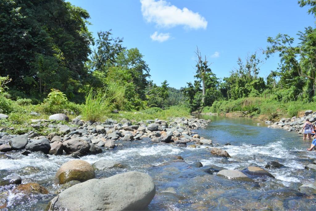 Ríos De Puerto Rico