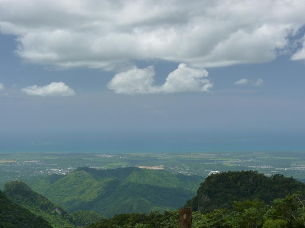 Bosque Estatal de Toro Negro - ZeePuertoRico.com