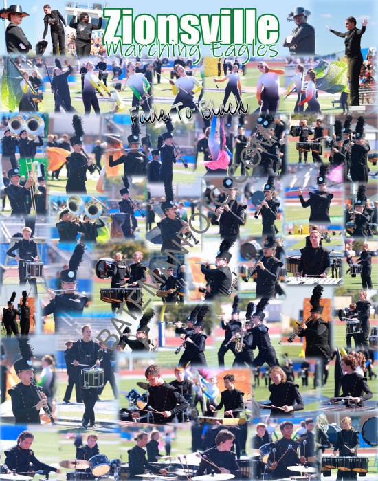 SCHOLASTIC CLASS ACTION POSTERS!