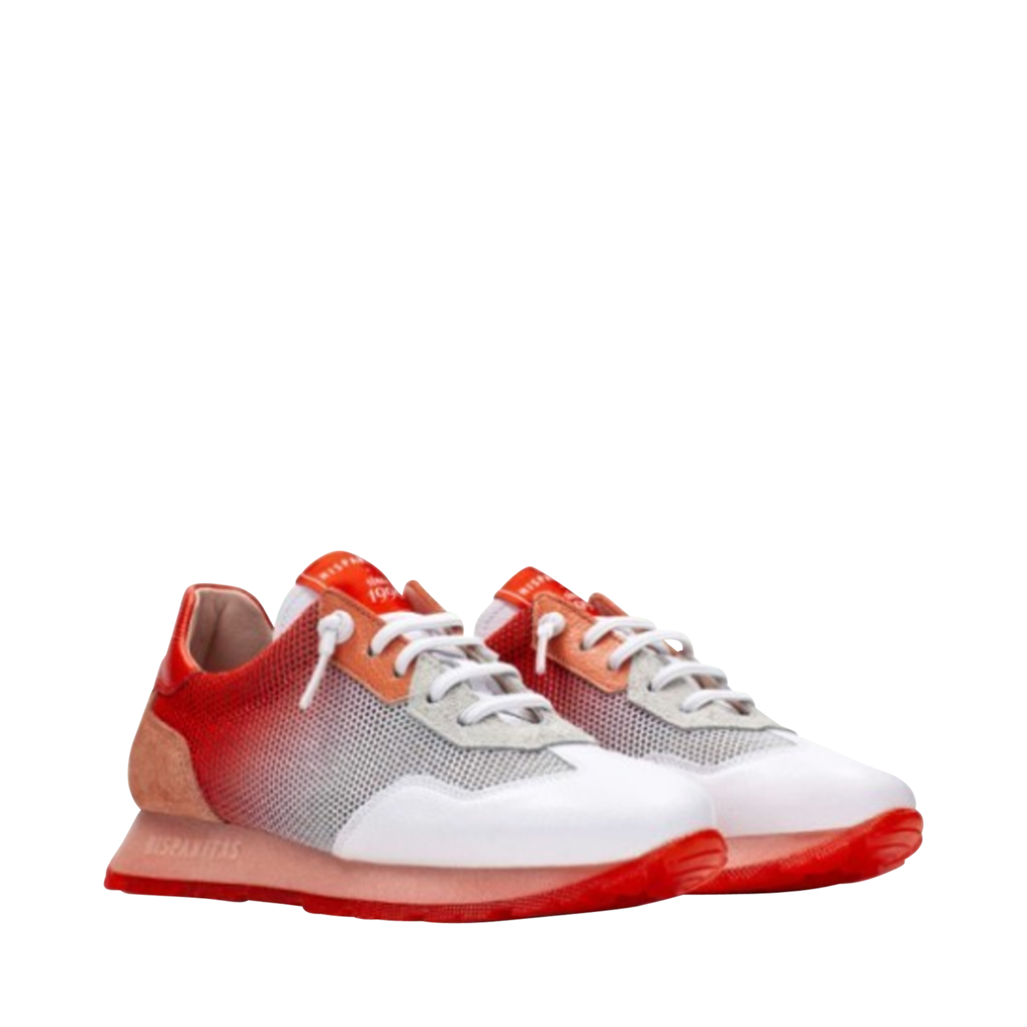 Chaussures Pierre Roy Saint-Jean