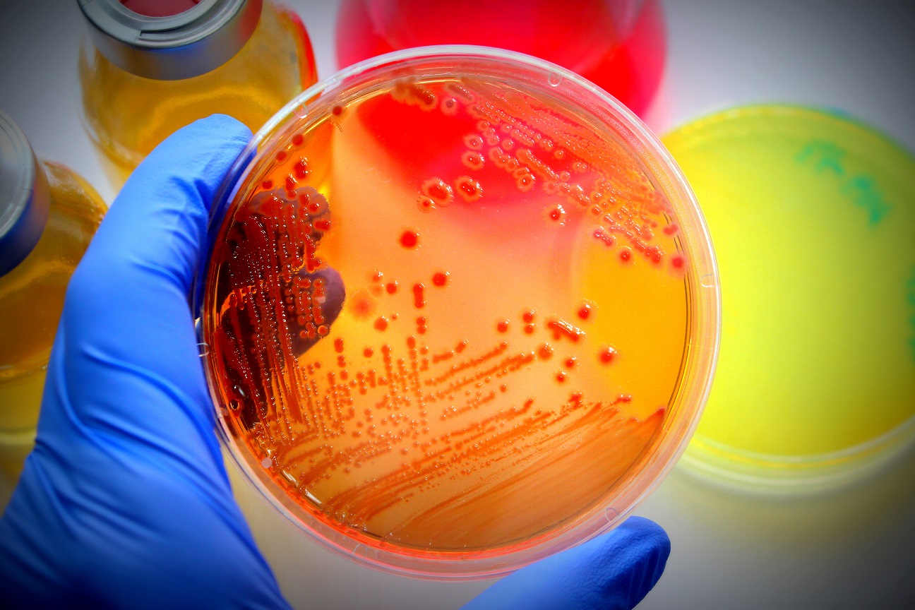 Exam Preparation Biology Study Material And Notes