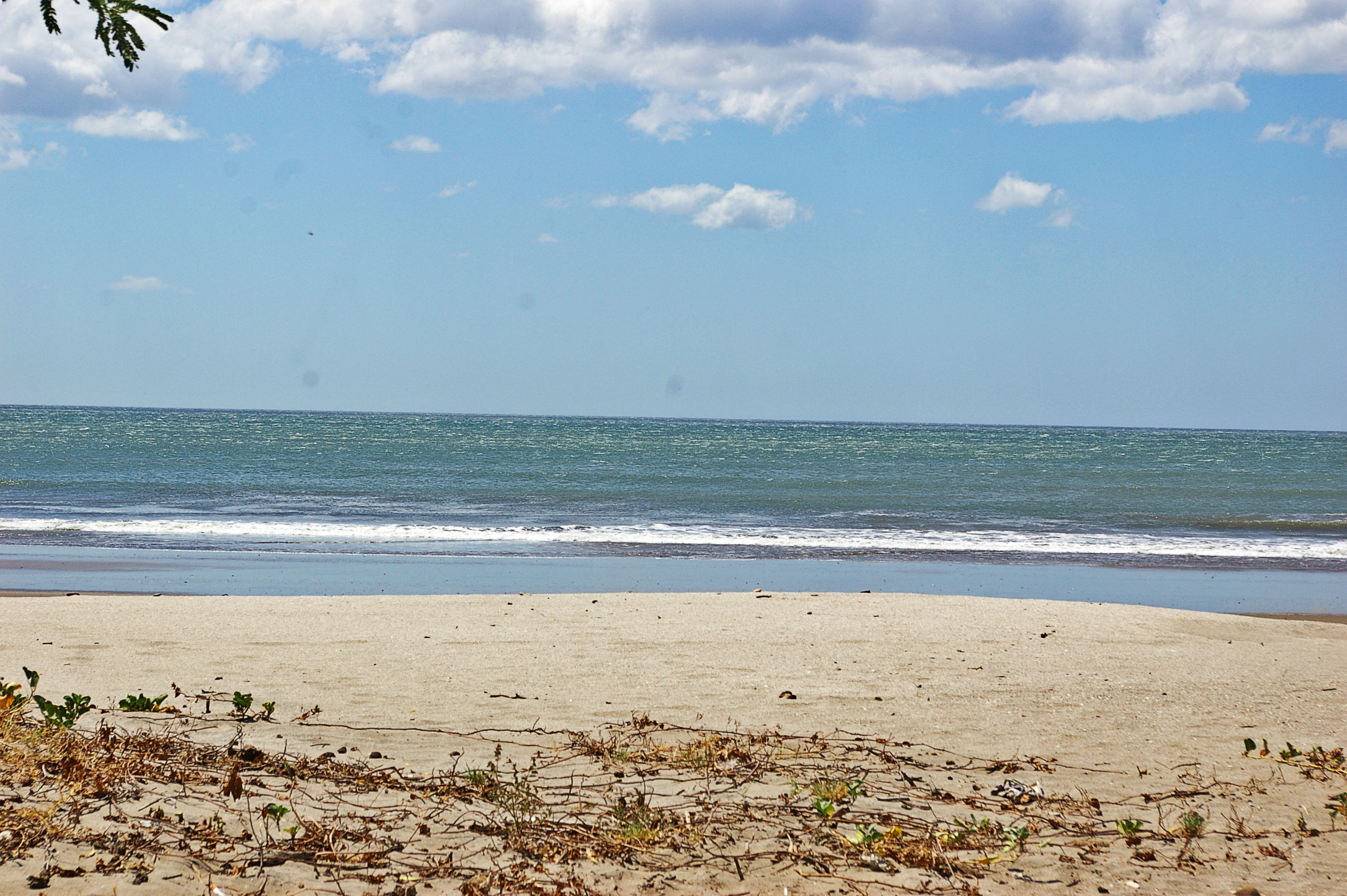 Terrenos de Playa archivos - Pinoleros Bienes Raíces