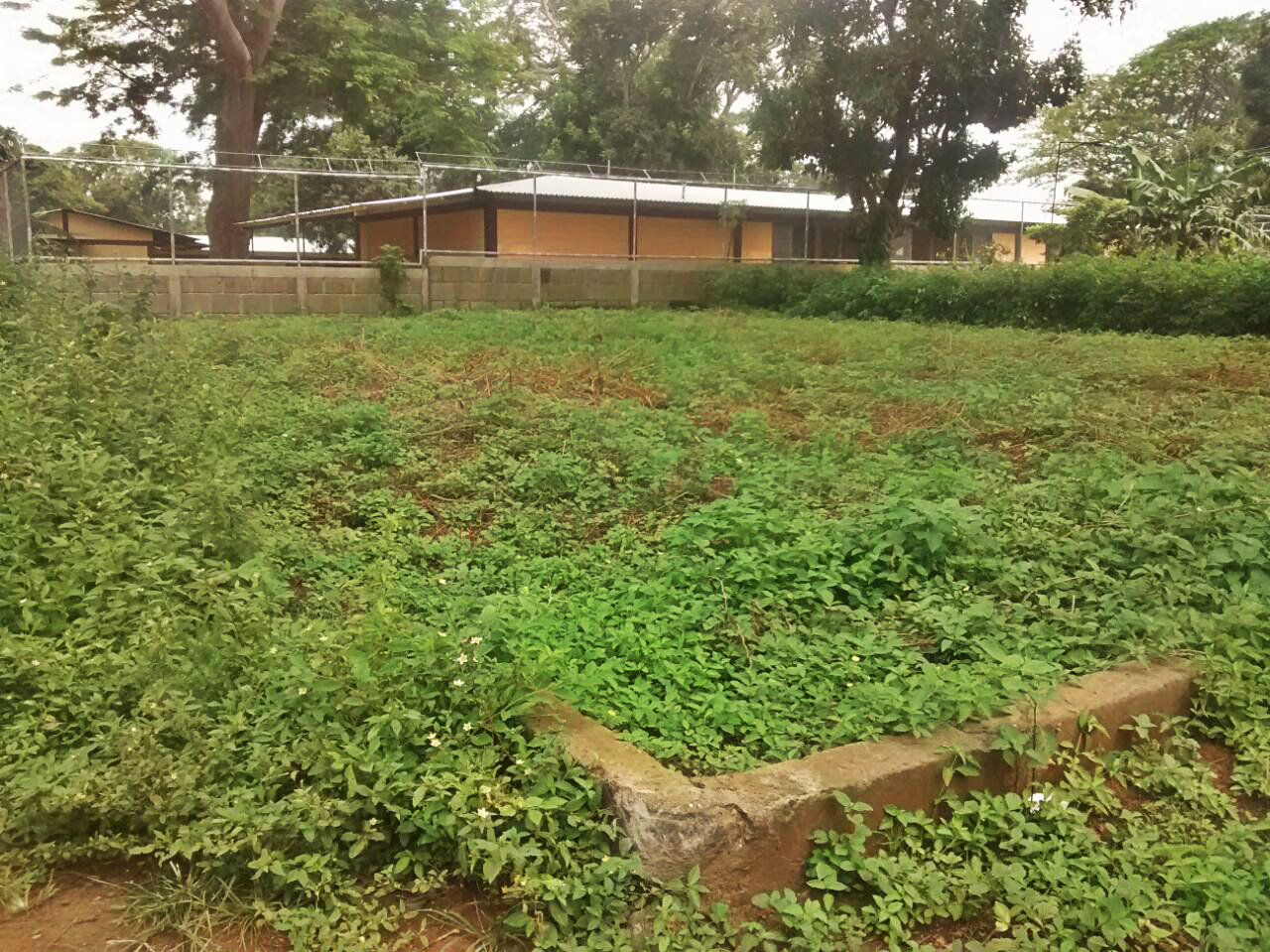 Propiedades en Nicaragua - Casas, lotes y apart - Pinoleros Bienes Raices