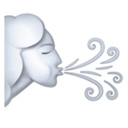 Wind Face Emoji (U+1F32C)