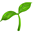 Seedling Emoji (U+1F331)