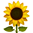 Sunflower Emoji (U+1F33B)