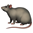 Rat Emoji (U+1F400)