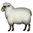 Ewe Emoji (U+1F411)