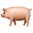 Pig Emoji (U+1F416)