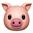 Pig Face Emoji (U+1F437)