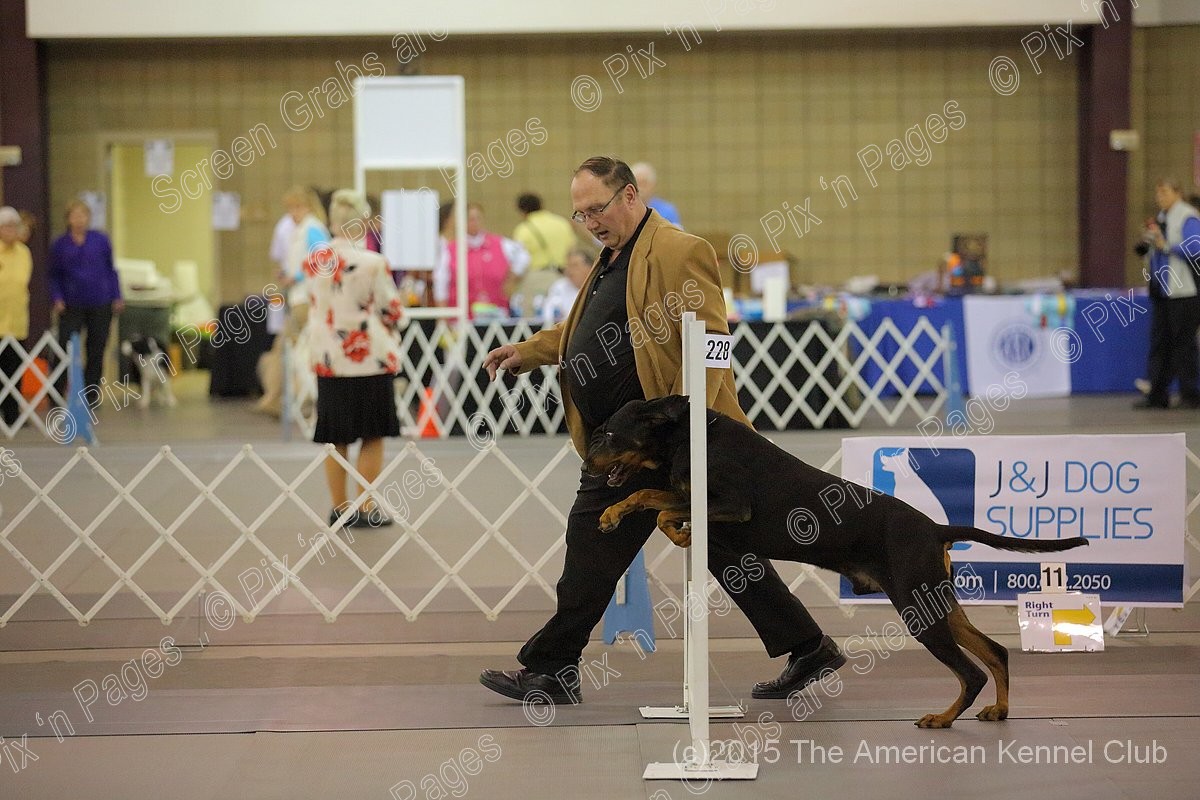 2016 AKC Rally National Photos