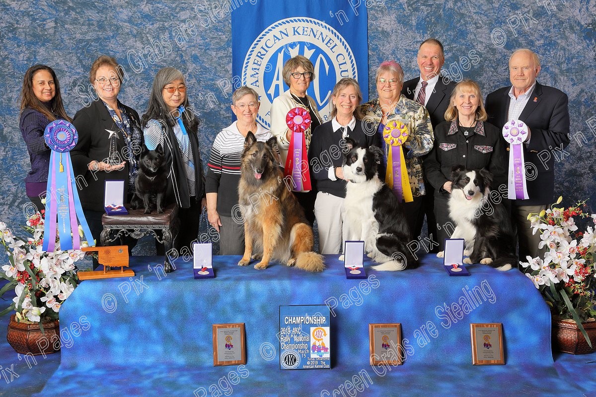 2019 AKC Nationals Portraits and Awards