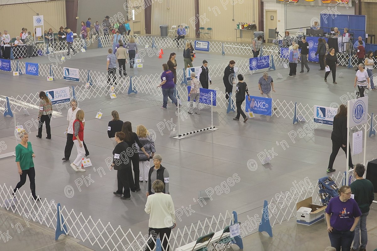 2019 AKC National Rally Championship