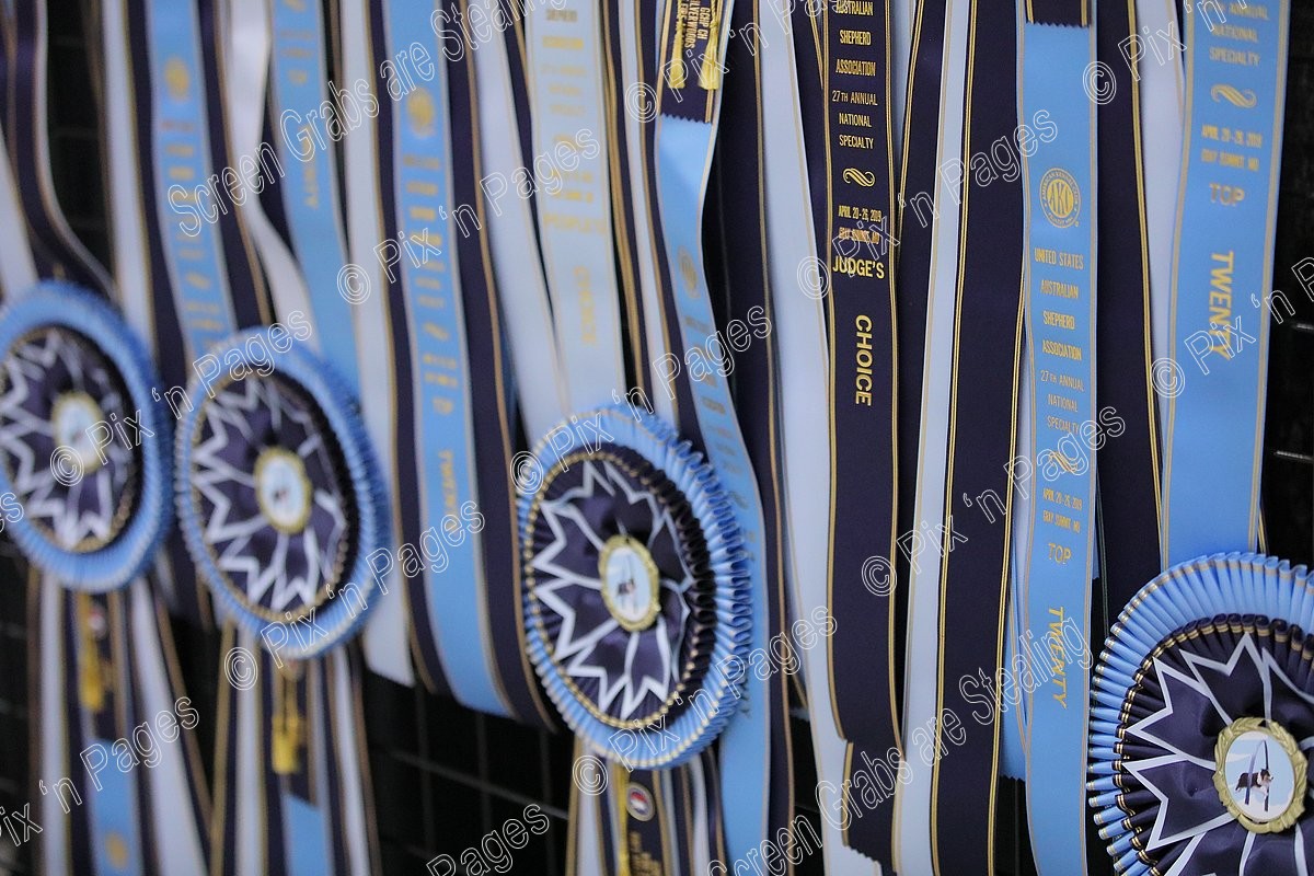 2019 USASA Nationals