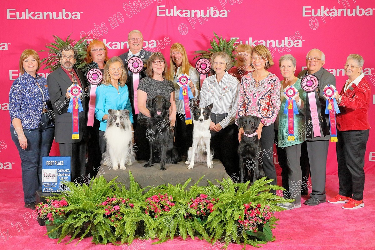 2019 AKC Classic and ODTC Portraits and Awards