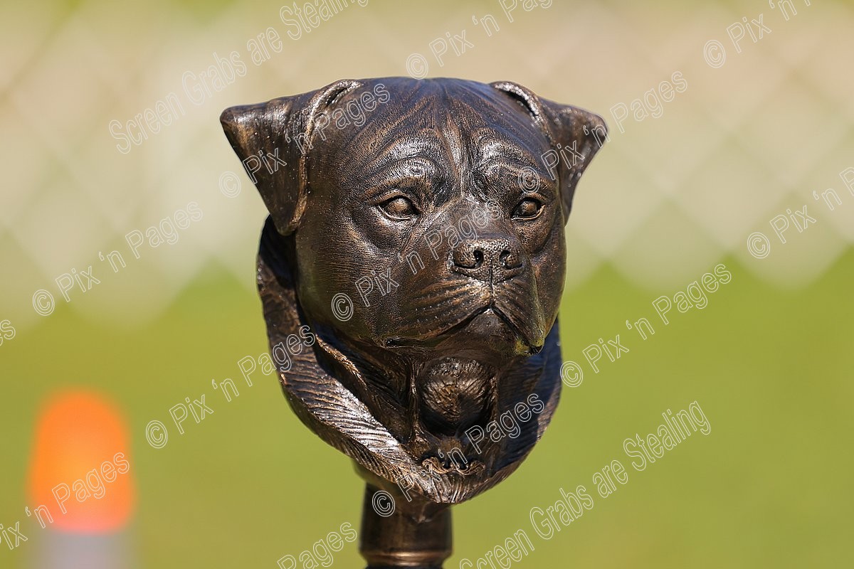 2021 American Rottweiler Club National Specialty