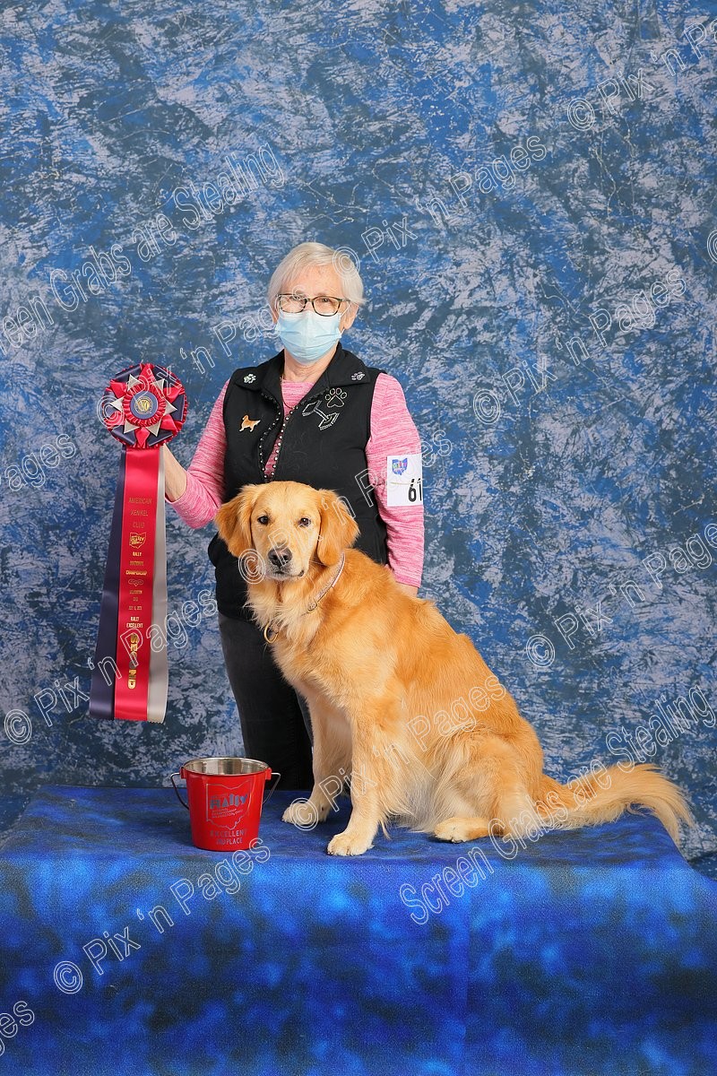 2021 AKC RNC and NOC Portraits and Awards