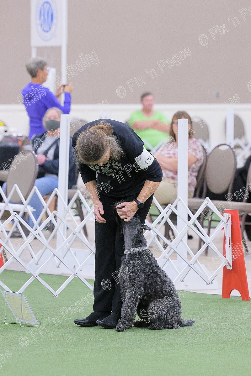 2022 AKC Rally and Obedience National Championships Photos