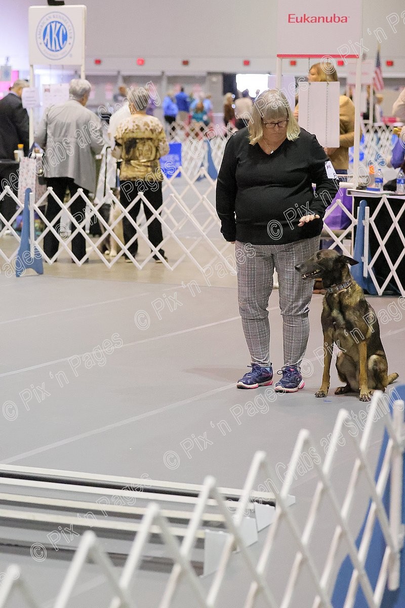 2022 AKC Obedience and Juniors Classic Photos