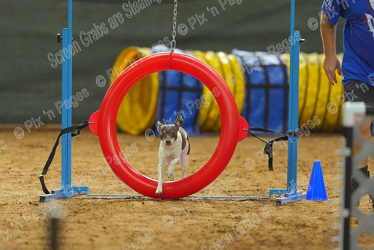 2024 DACOF Action Photos