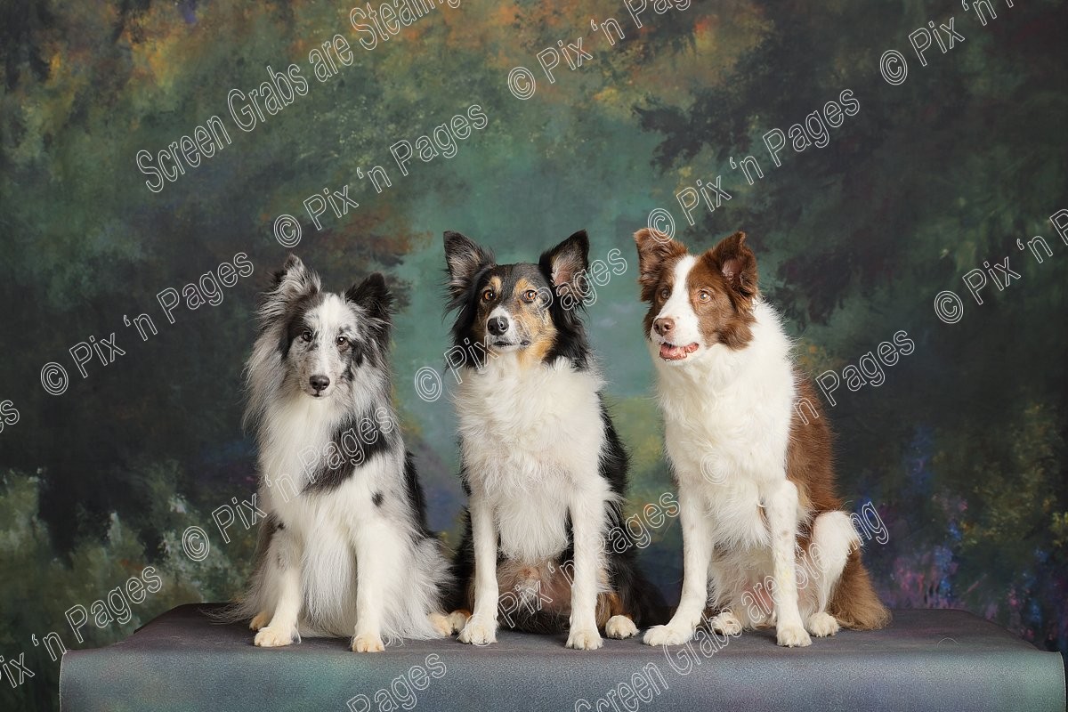 2024 DACOF Portraits and Awards