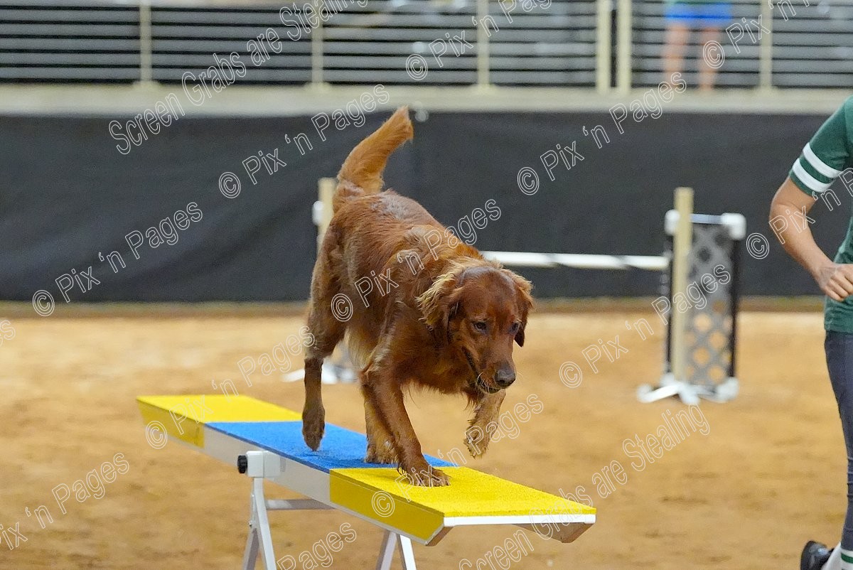 2025 DACOF Action Photos