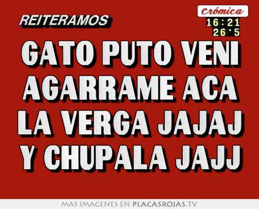 Gato puto veni agarrame aca la verga jajaj y chupala jajj - Placas Rojas TV