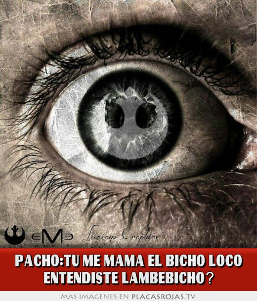Pacho:Tu me mama el bicho loco entendiste lambebicho? - Placas Rojas TV