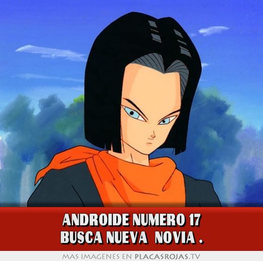 ANDROIDE NÚMERO 17 BUSCA NUEVA "NOVIA". - Placas Rojas TV