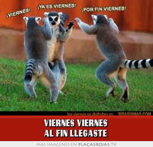 Viernes Viernes Al fin llegaste - Placas Rojas TV