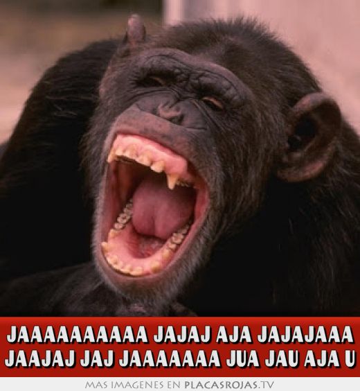 Jaaaaaaaaaa jajaj aja jajajaaa jaajaj jaj jaaaaaaa jua jau aja u ...