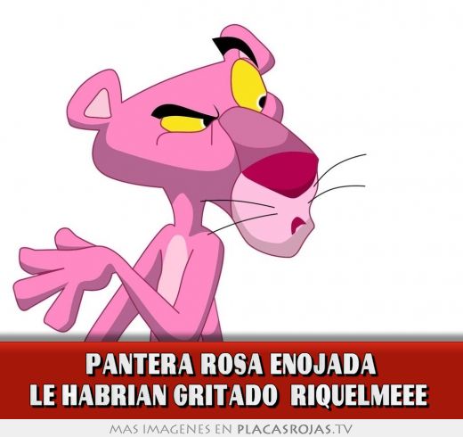 PANTERA ROSA ENOJADA LE HABRIAN GRITADO "RIQUELMEEE" - Placas Rojas TV