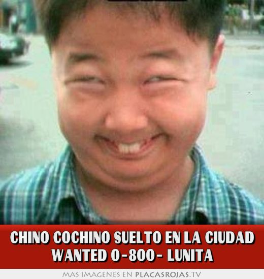 CHINO COCHINO SUELTO EN LA CIUDAD wanted 0-800- LUNITA - Placas Rojas TV