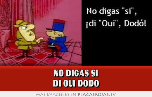 NO DIGAS SI DI OUI DODÓ - Placas Rojas TV