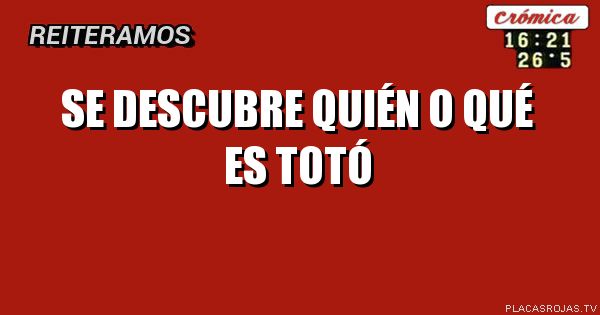 Se descubre quién o qué es Totó - Placas Rojas TV