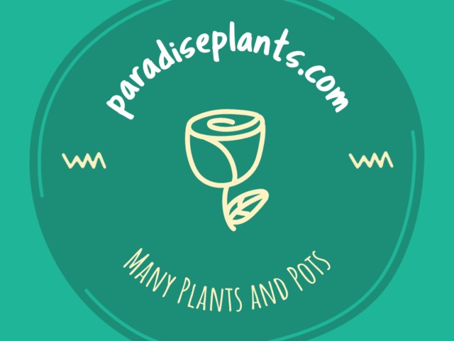 Placeit - Sticker Design Generator Featuring a Hand-Drawn Flower Doodle