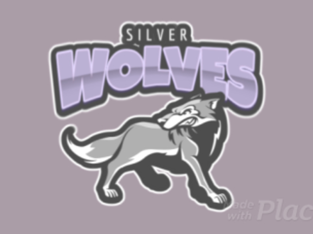 Placeit - Animated Sports Logo Maker with a Silver Wolf Illustration
