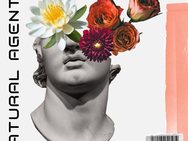 Placeit - Vintage Album Cover Maker Featuring an Artsy Collage