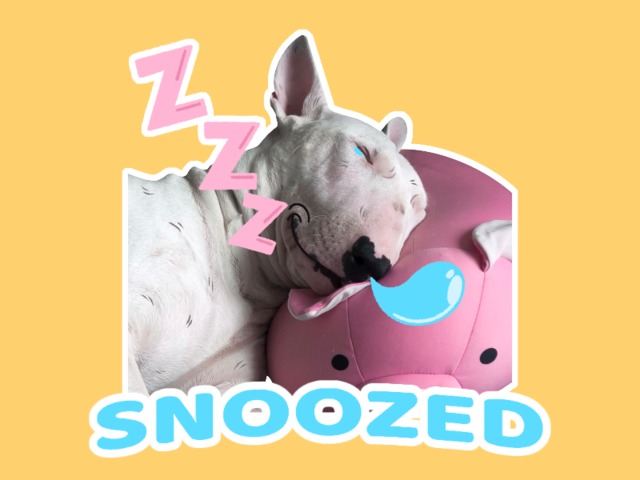 Placeit - Twitch Emote Logo Template with a Graphic of a Sleepy Dog